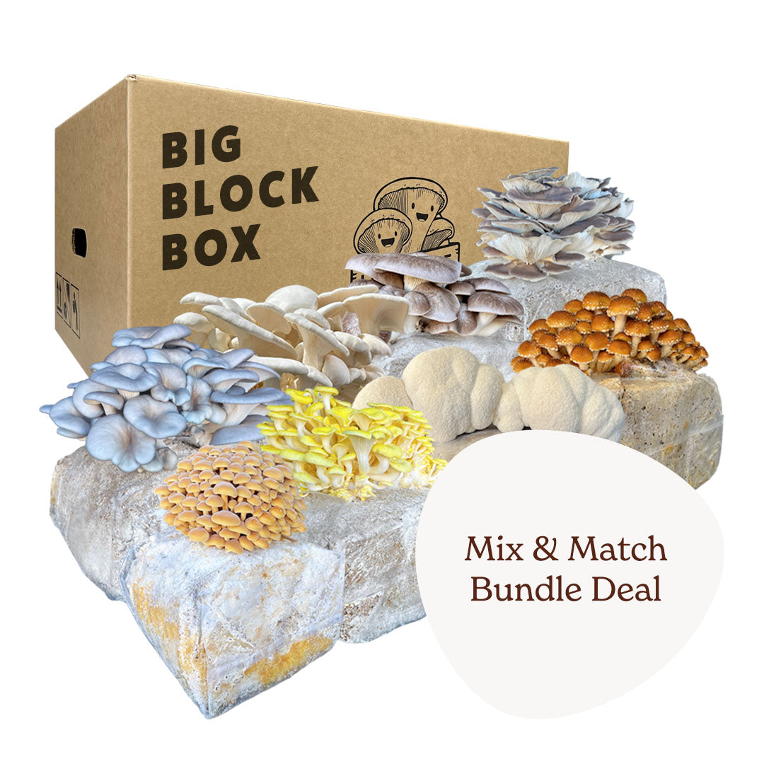Big Block Box Bundle Deal - Certified Organic | Little Acre – Little Acre Mushrooms