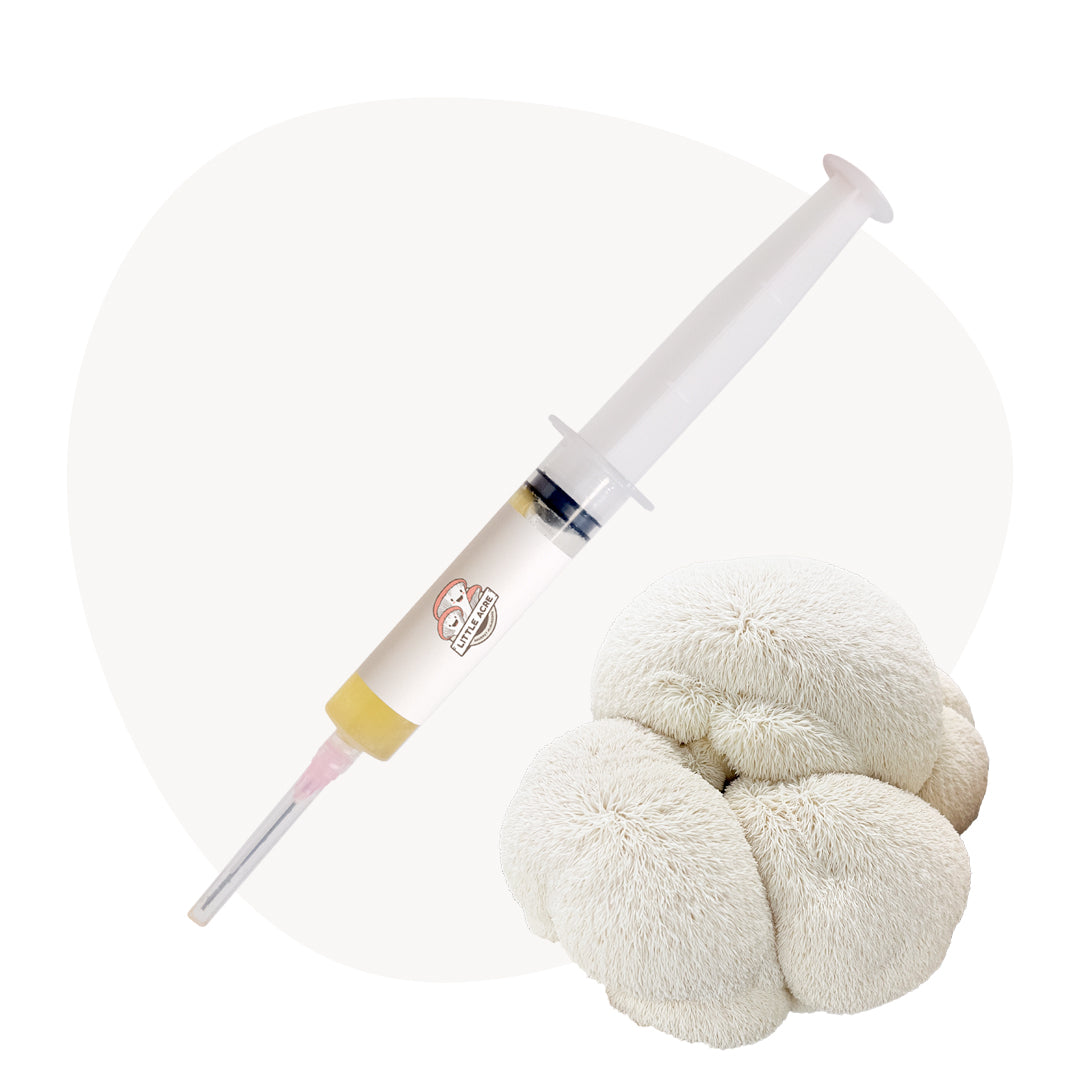 Lion's Mane Mushroom Liquid Culture Syringe - HULK | Little Acre ...