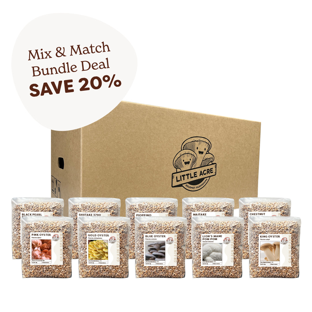 Bulk mushroom spawn box bundle deal | Little Acre – Little Acre Mushrooms