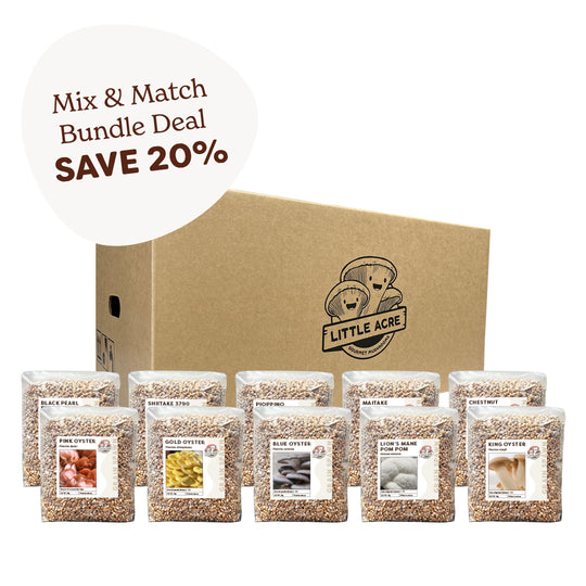 Bulk mushroom spawn box bundle deal | Little Acre – Little Acre Mushrooms