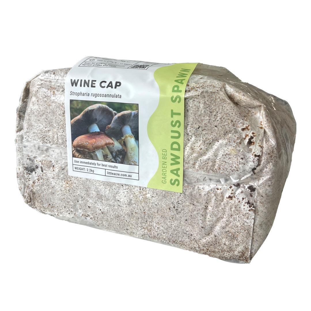Wine Cap Mushroom Sawdust Spawn | Sawdust Spawn | Little Acre – Little ...