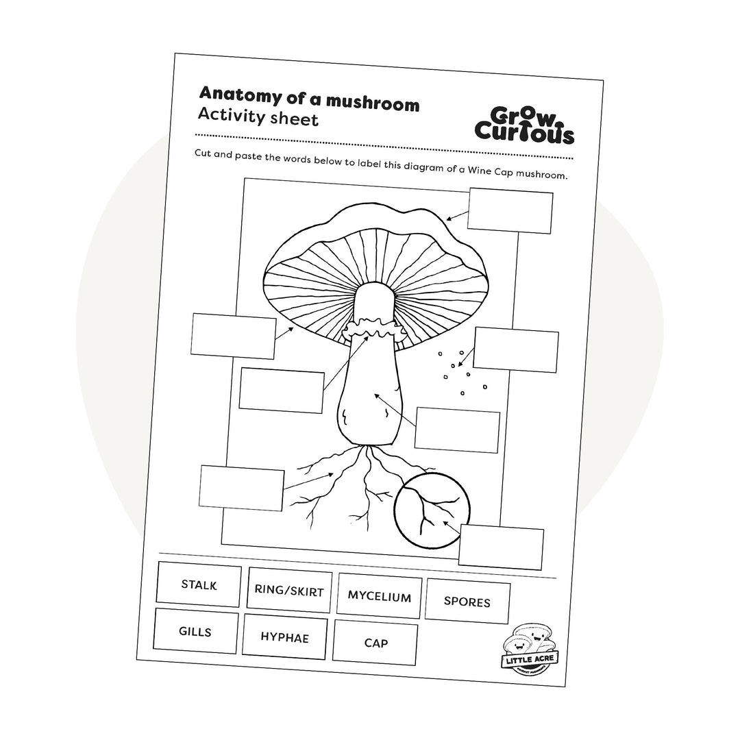 Free Downloadable Activity Sheet - Anatomy of a Mushroom | Little Acre