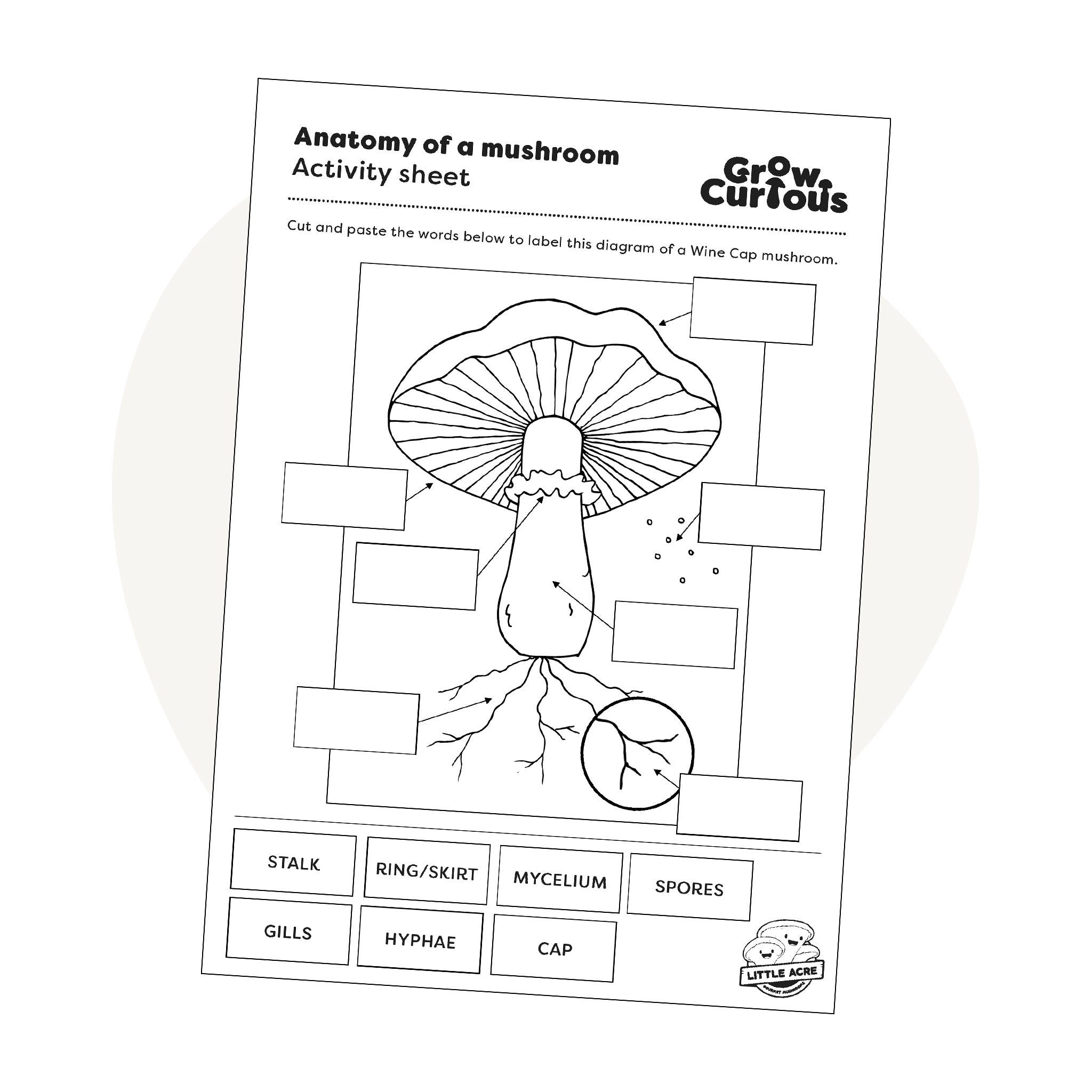 Free Downloadable Activity Sheet - Anatomy of a Mushroom | Little Acre