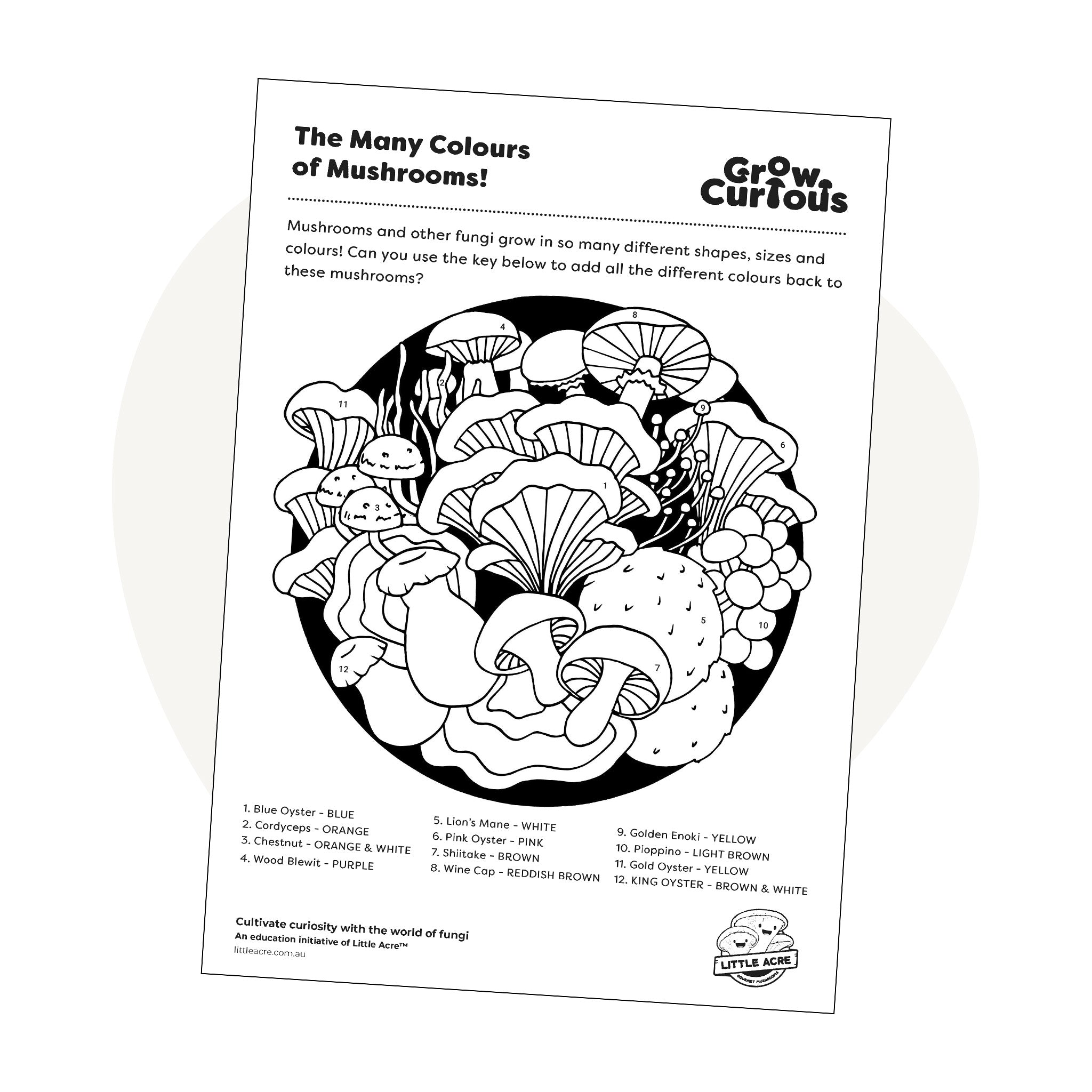 Free Downloadable Mushroom Colouring In Sheet | Little Acre – Little ...