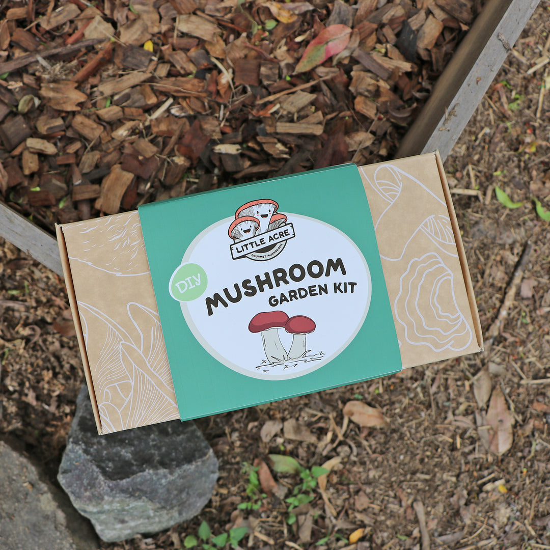 DIY Mushroom Garden Bed Kit - Outdoor Mushroom Growing | Little Acre ...