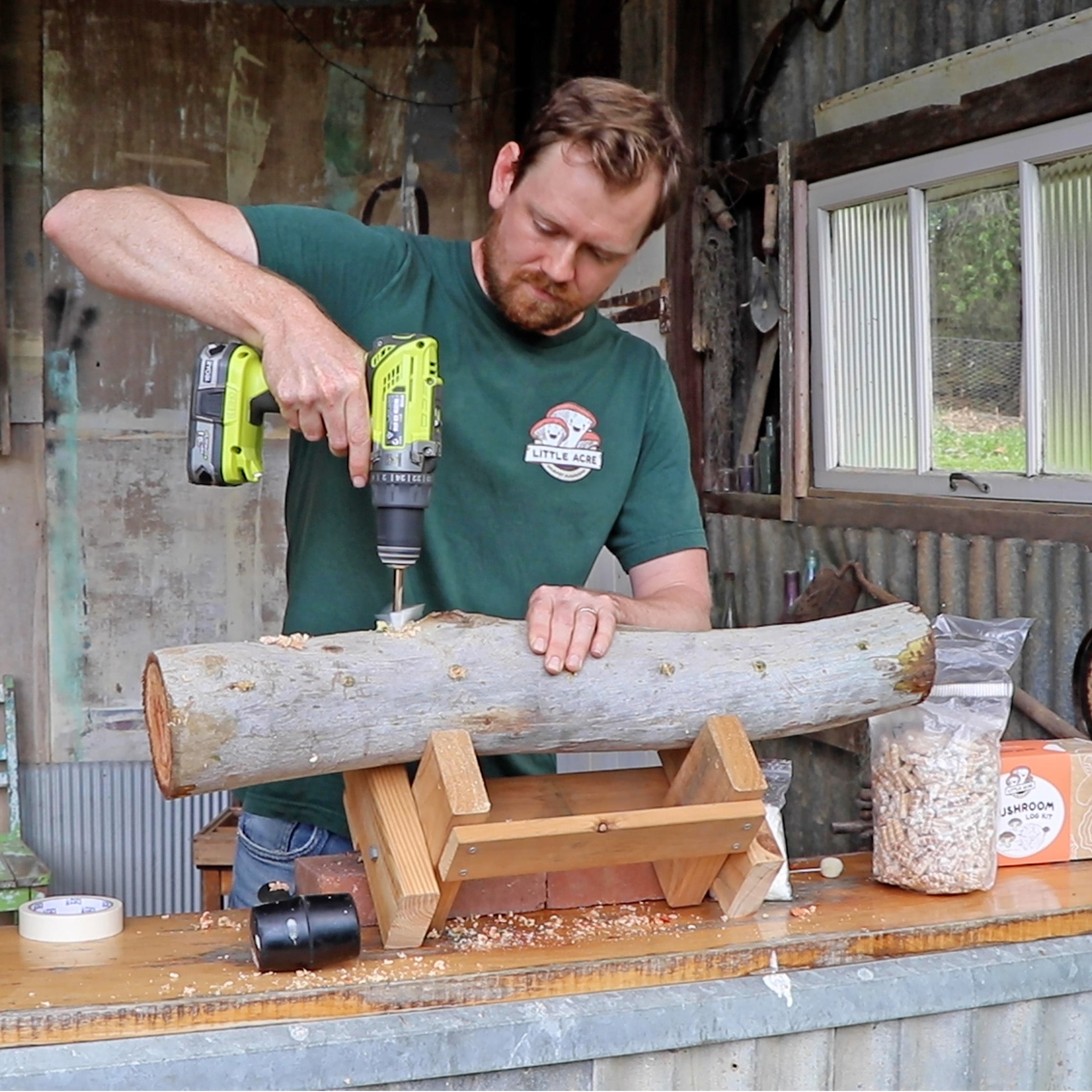 DIY Mushroom Log Kit - Outdoor Mushroom Growing | Little Acre