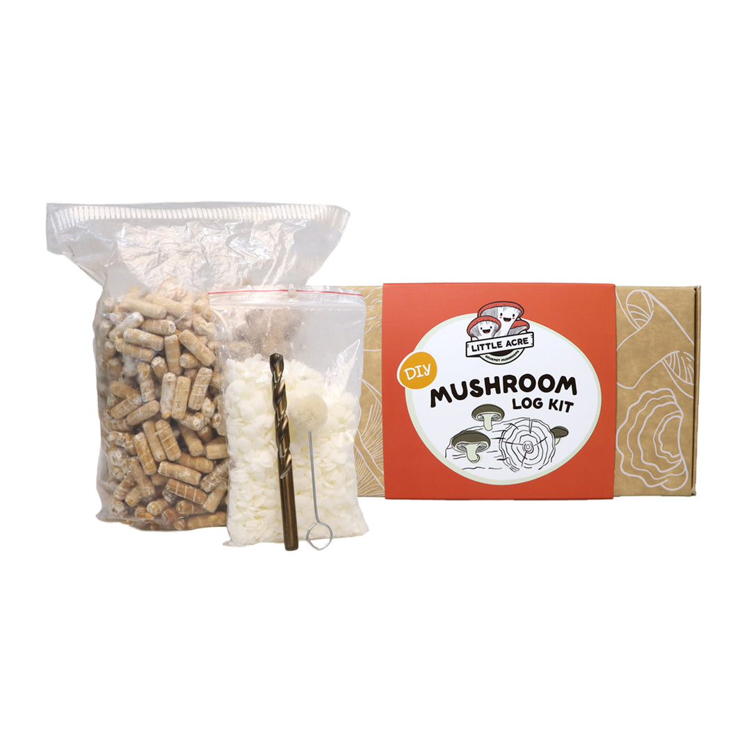DIY Mushroom Log Kit - Outdoor Mushroom Growing | Little Acre – Little ...