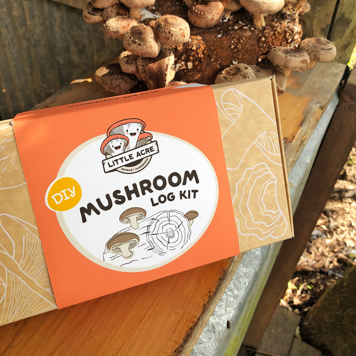 DIY Mushroom Log Kit - Outdoor Mushroom Growing | Little Acre
